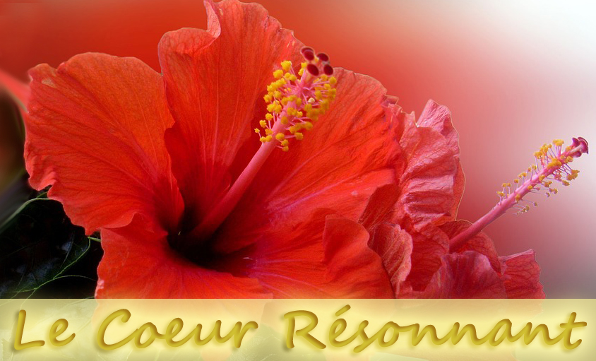 Sound Therapy – The Resonant Heart Therapies