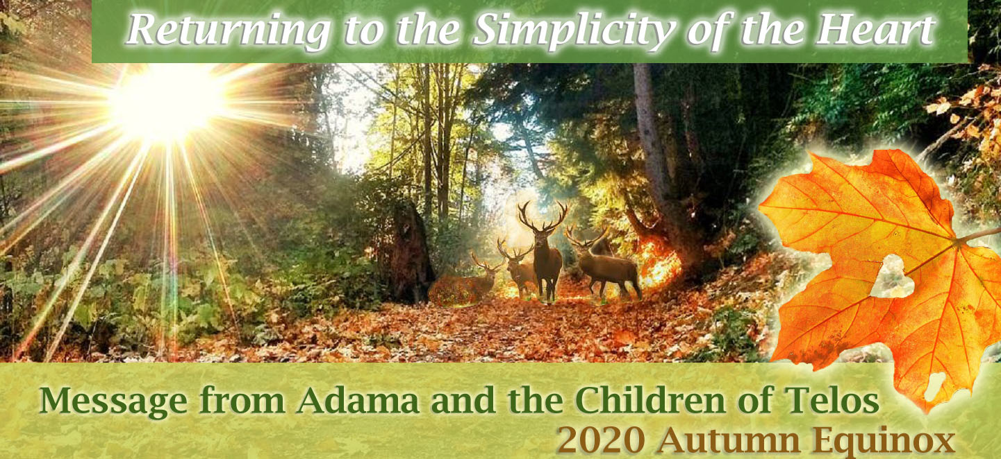 Heart – The Resonant Heart Therapies